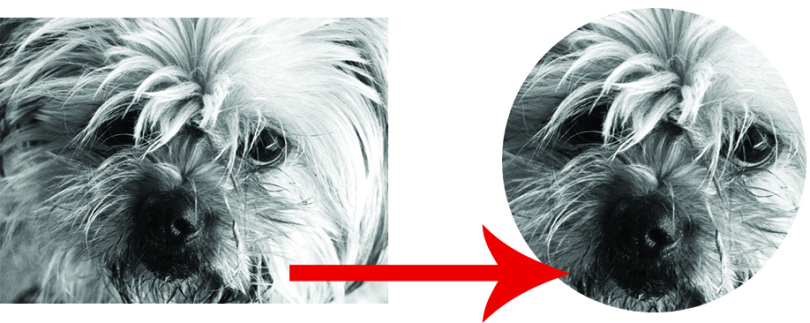 Creating A Circle Image In Photoshop Pixi Wishes Forehead Kisses